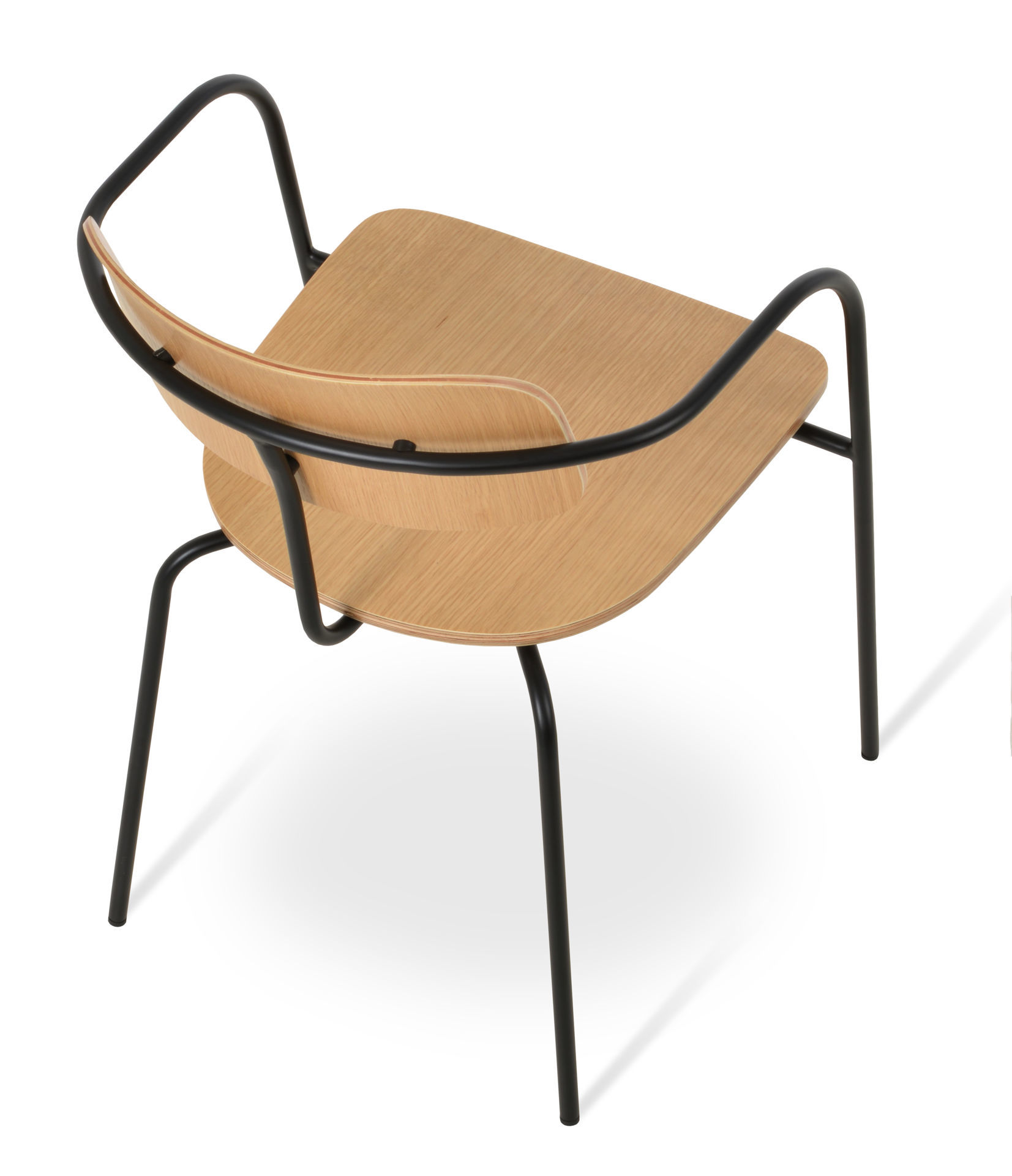 ACADEMY ARM DINING CHAIR |Modern Luxury Furniture Store in Paramus, NJ