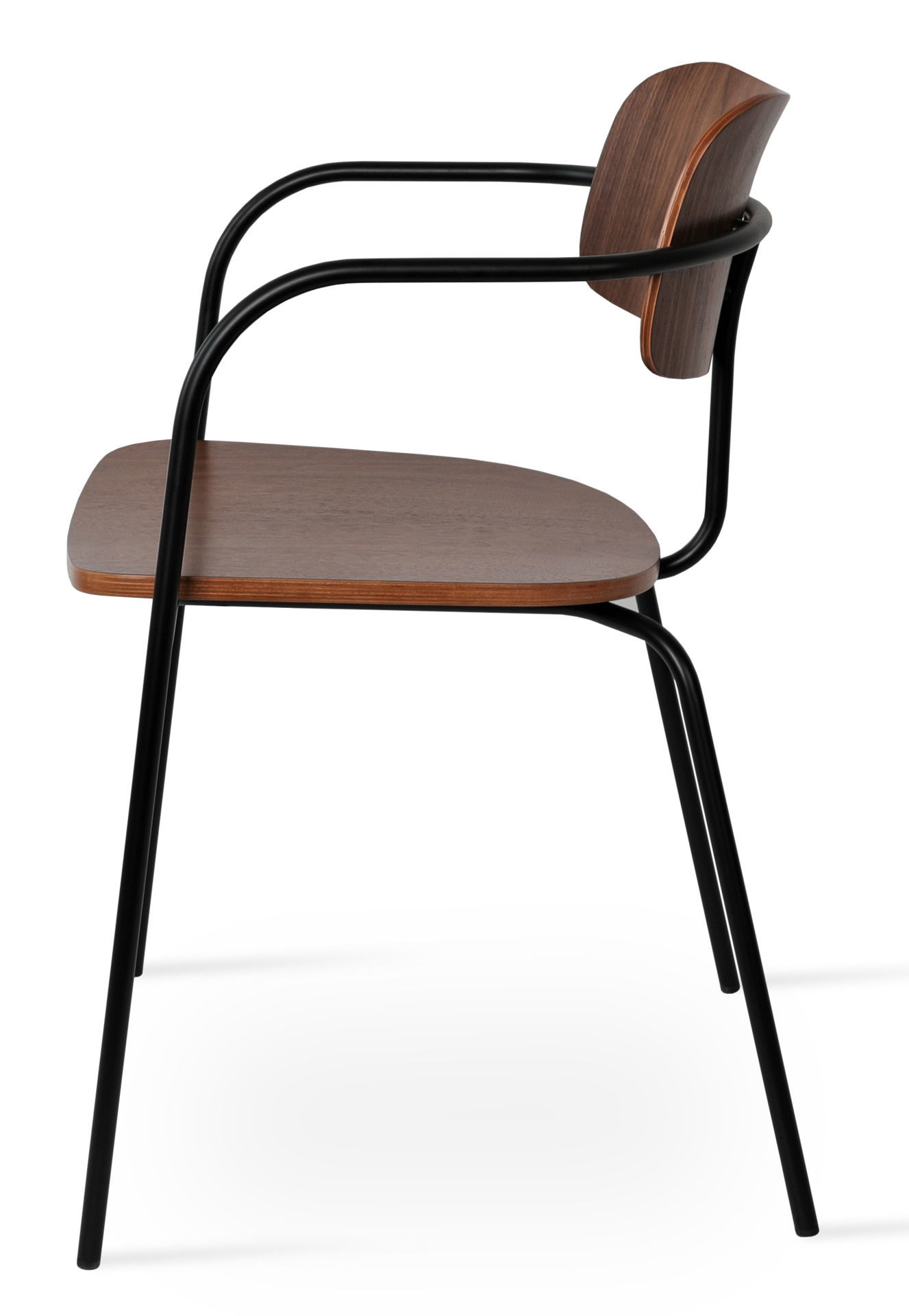ACADEMY ARM DINING CHAIR |Modern Luxury Furniture Store in Paramus, NJ